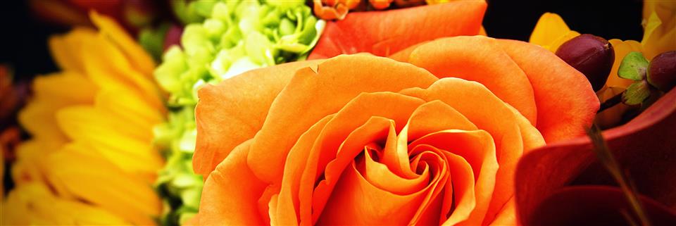 Fiona's Flower Studio Florist Inverness 01463 712600